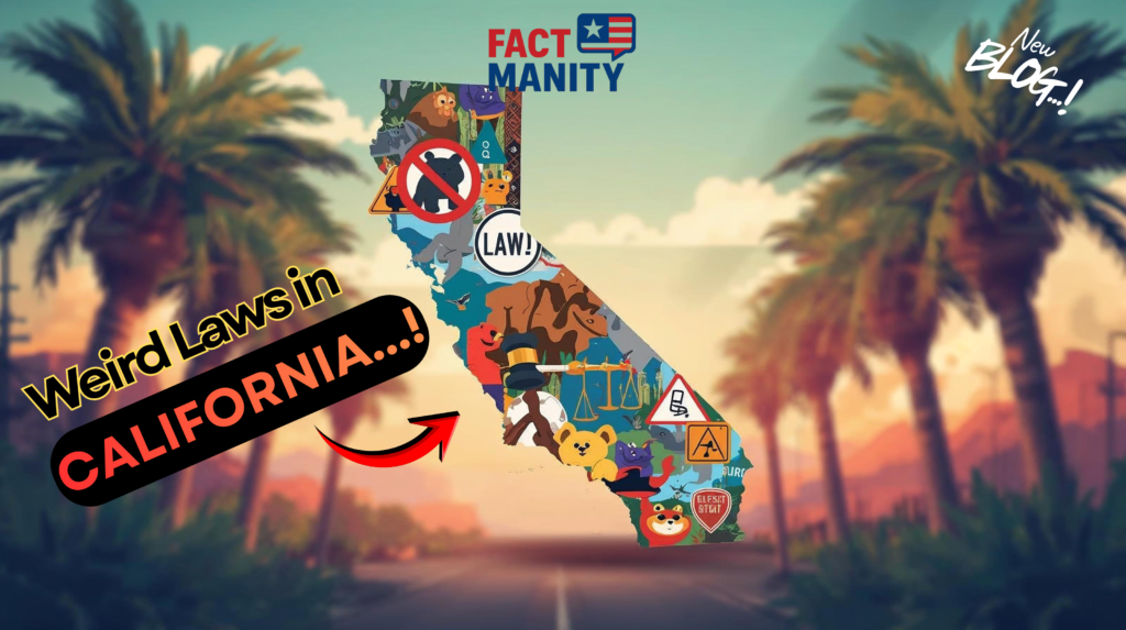 Strange, Unbelievable & Weird Laws in California Explained